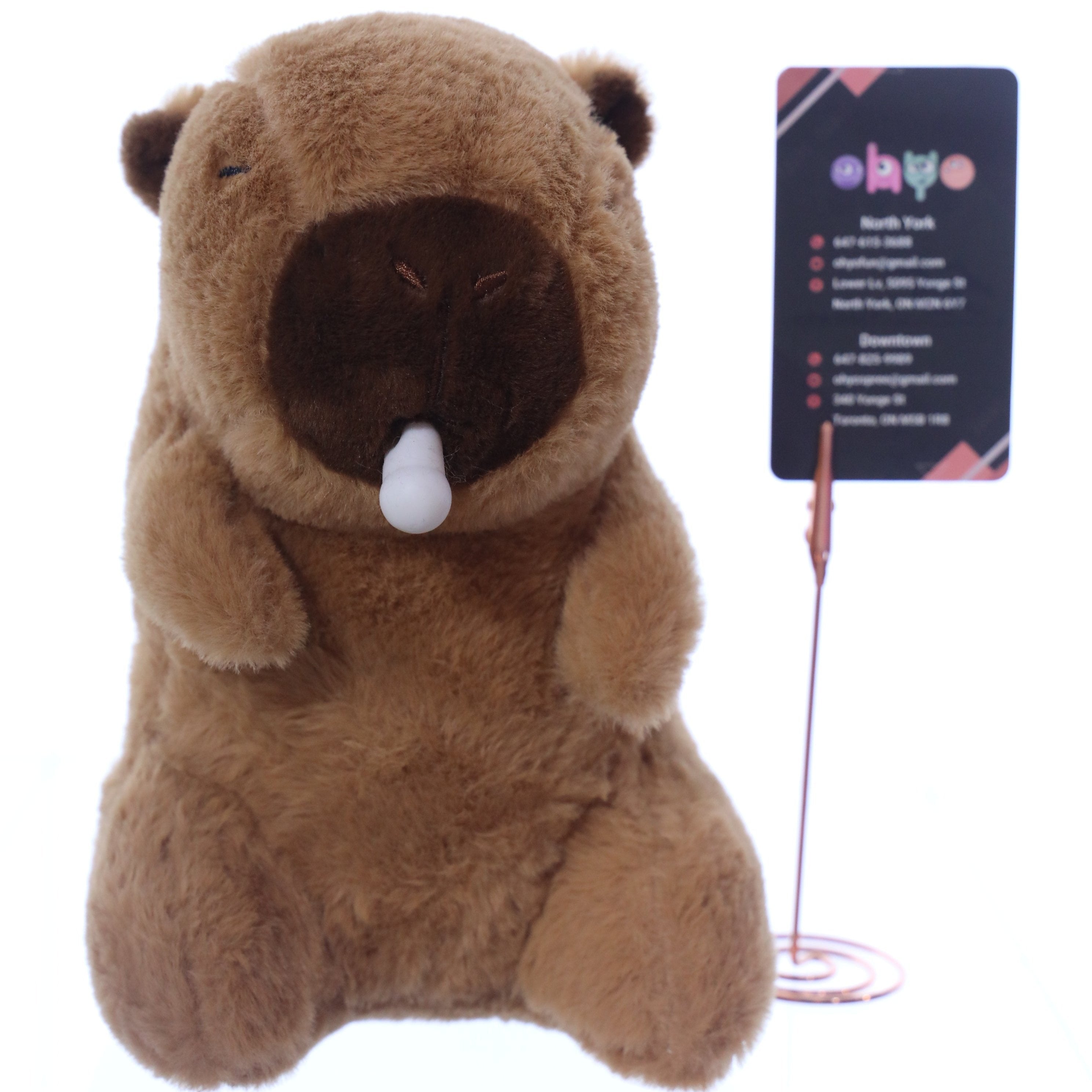 Capybara soft plush – OHYO Fun